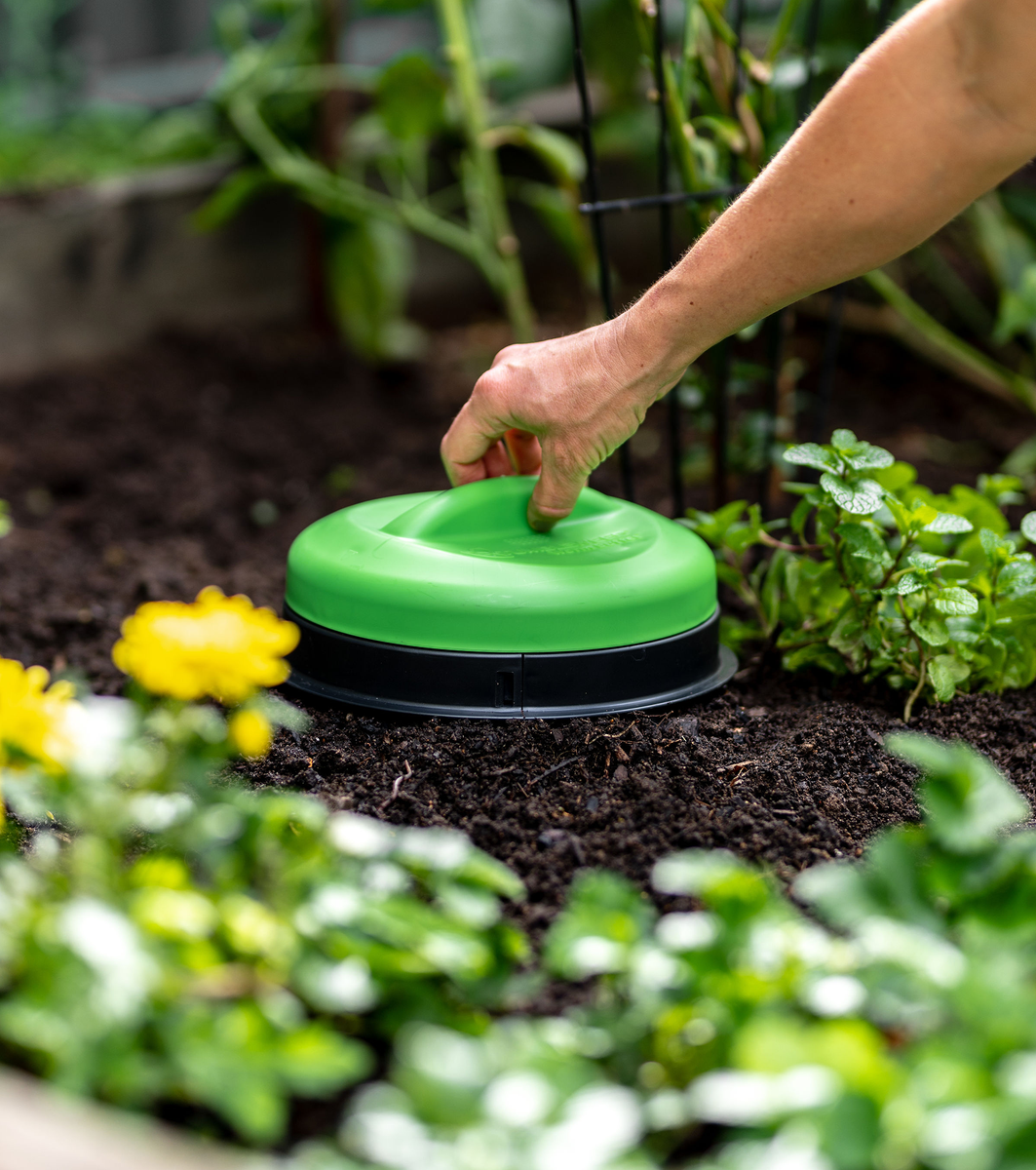 Worm Buffet – Tumbleweed USA