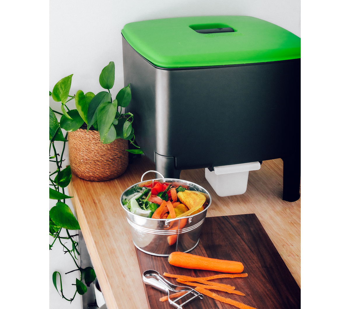 Worm Buffet | Tumbleweed – Tumbleweed USA